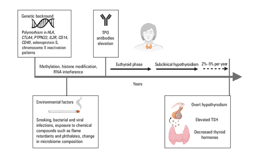 Hashimoto thyroiditis: an evidence-based guide to etiology, diagnosis ...